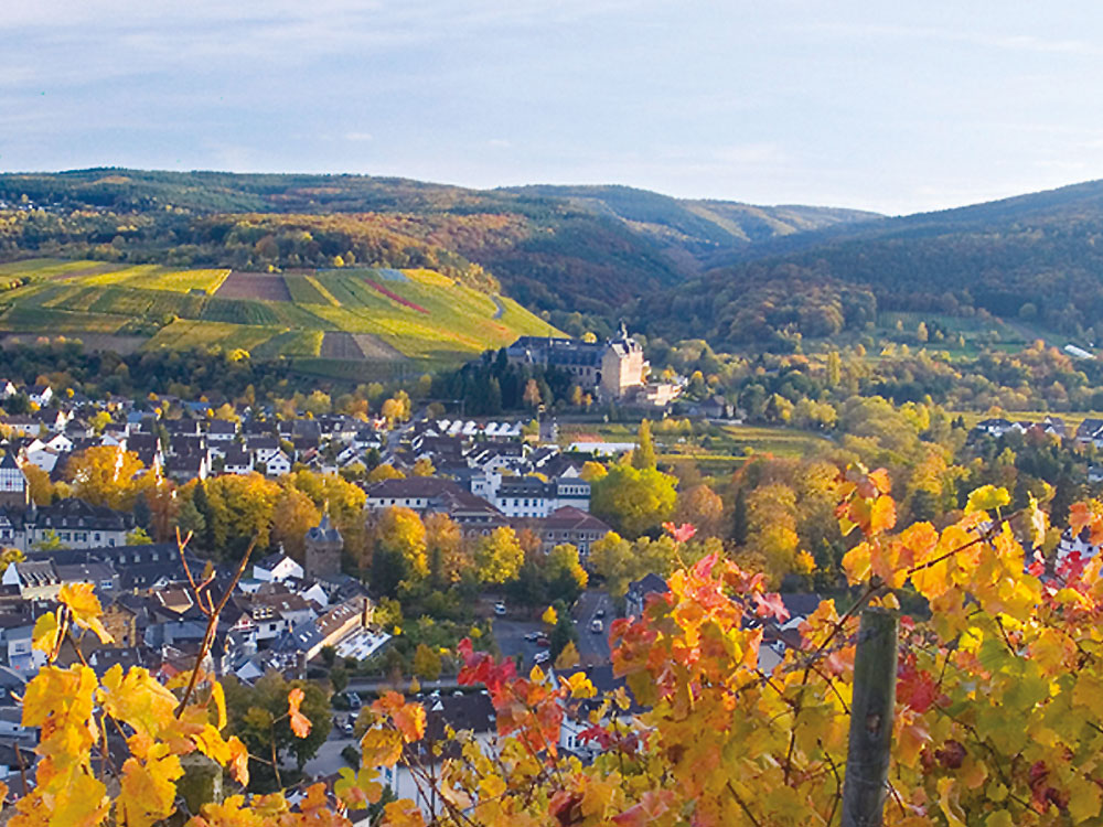 Rheintaler - AHRTAL TOURISMUS